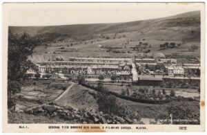 The Pilgrim’s Garden Blaina – The Story of the Blue Pilgrim’s | Out Of ...